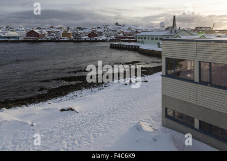 Norway, Varanger Fjord, Vardø or Vardo, Island of Hornøya, protected ...