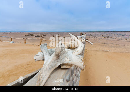 Gate to Springbok Wasser, Skeleton Coast National Park, Namibia Stock ...