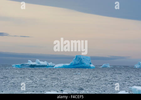 Antarctica. Brown Bluff. Bright blue iceberg Stock Photo - Alamy