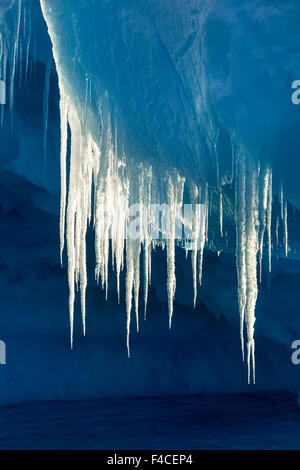 Antarctica, Morning sun lights icicles hanging from iceberg near ...