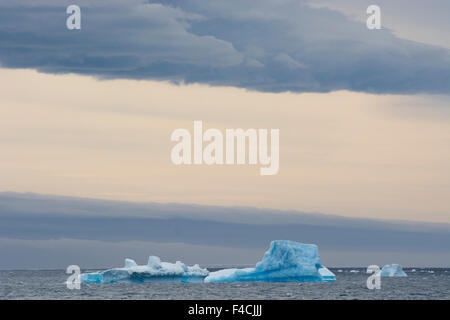 Antarctica. Brown Bluff. Bright blue iceberg Stock Photo - Alamy