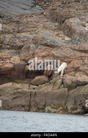 Canada, Quebec, Lower Savage between Frobisher Bay and the Hudson ...