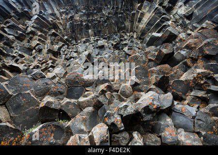 Honeycomb pattern of basalt rock at Hljodaklettar, Jokulsargljufur ...
