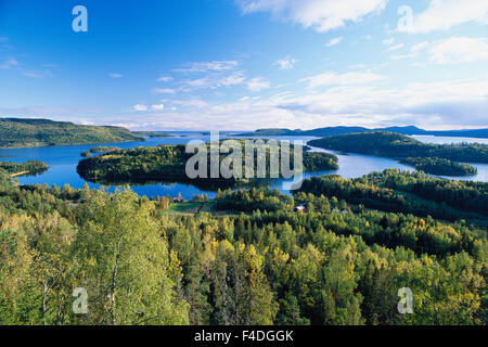 Sweden - Angermanland - Forest Stock Photo - Alamy