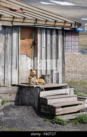 Russia, Chukotka, Chaplino Village, Chukchi boy performing traditional ...