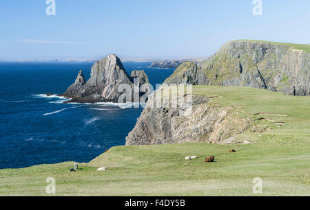 The cliffs between Dale and Huxter close to Sandness Hill. Shetland ...