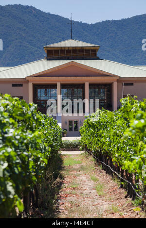 Chile, Casablanca, Vina Veramonte winery, aging casks Stock Photo - Alamy