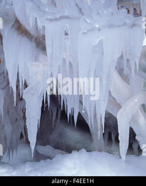 California, Sierra Nevada Mountains, Icicles above a freezing creek in ...