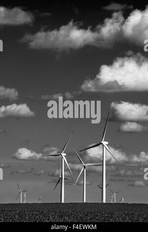 Minnesota, Dexter, Grand Meadow Wind Farm (Large format sizes available ...