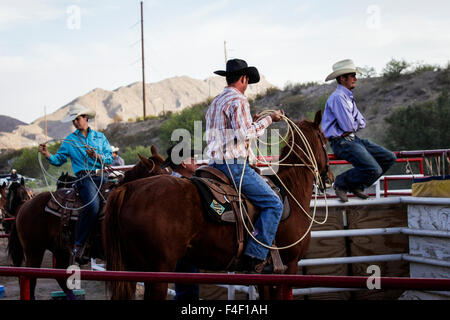 Cattle wrangling competition at the Rodeo, Truth or Consequences, New ...