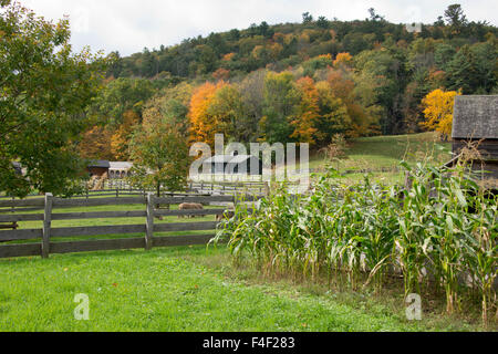 New York, Cooperstown, Farmers Museum in the fall. (Large format sizes ...
