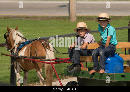 Ohio, Geauga County, Mesopotamia. Typical young Amish boys in Stock ...
