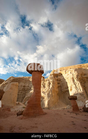 Toadstool area off Highway 89 near Kanab, Utah and Page Arizona. BLM ...
