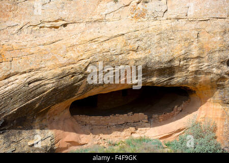 Butler Wash ruins, near Comb Ridge, a short hike from UT95. This ...