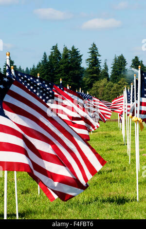 USA, Washington, Aberdeen. 400 flags waving proudly in a field visible ...
