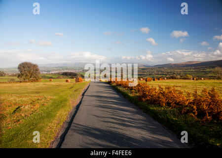 Sarn Helen straight Roman road now asphalted on Mynydd Illtyd Common ...