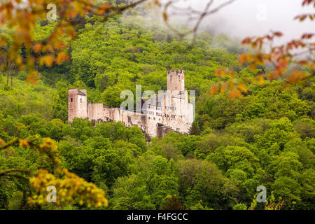 Neu-Bechburg castle above Oensingen, Canton Solothurn, Switzerland ...