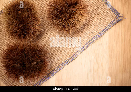 chestnut hulls on a natural wood and burlap background - retro style ...