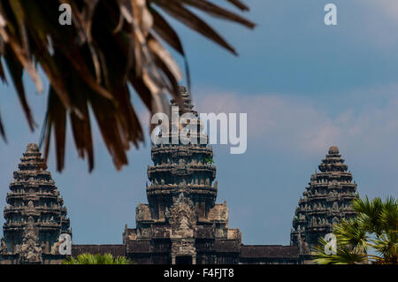 Leaves in front of Angkor Wat Stock Photo - Alamy