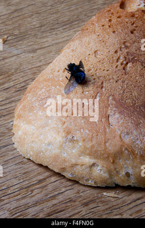 bread, crust, breads, crusts Stock Photo - Alamy