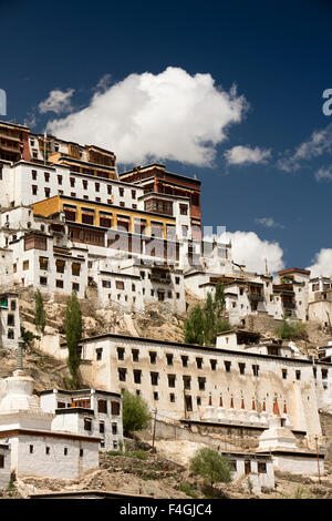 Tikse Gompa tibetan buddhist monastery, roof ornament, trumpets ...