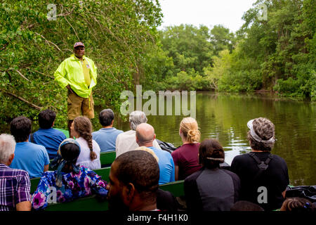 A boat tour through the Caroni Swamp Trinidad Stock Photo - Alamy