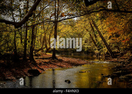 Bloomington, Indiana. 18th Oct, 2015. Fall colors at the Cedar Bluff ...