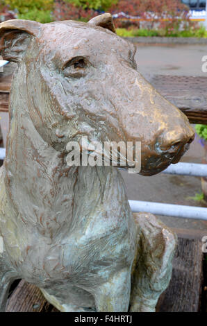 Bronze statue of Patsy Ann dog (the greeter of Juneau). Juneau. Alaska ...