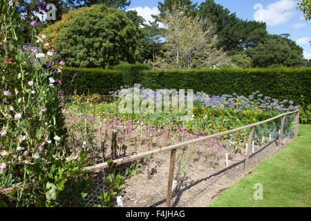 Cotehele, near Saltash, Cornwall, England, United Kingdom Stock Photo ...