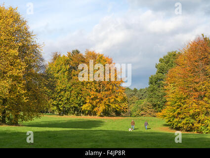 The Princess Anne park in Washington, north east England, UK Stock ...