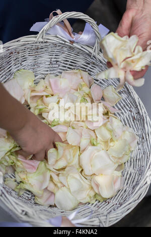 Hands grab rose petals Stock Photo - Alamy