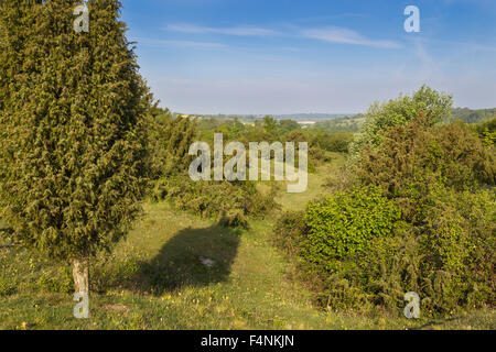 Landscape view of Noar Hill nature reserve and undulating quarrying ...