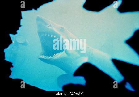 Steven Spielberg / Jaws 1975 directed by Steven Spielberg Stock Photo - Alamy