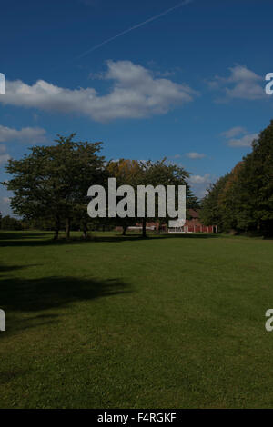 Beech Fields on a early Autumn day Stock Photo - Alamy