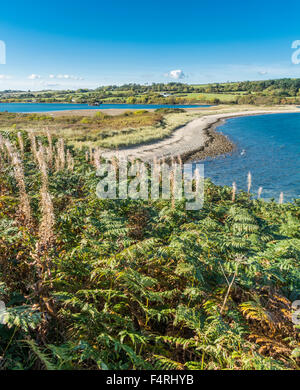 Beach at mouth of Dulas Estuary, Isle of Anglesey, North Wales, UK ...