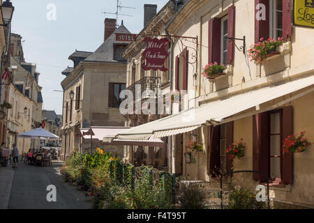 France Indre et Loire Bourgueil is at the heart of the vineyards of ...