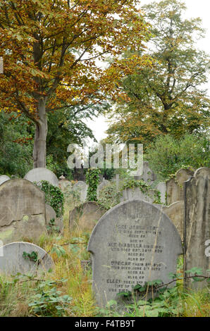 old cemetery overgrown with grass in the forest Stock Photo - Alamy