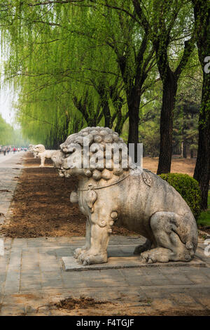 Lion statue on the Ming Tomb Alley in Beijing Stock Photo - Alamy