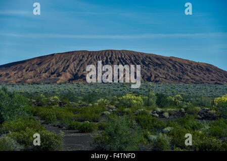 pinacate, biosphere, reserve, Mexico, Central America, elegante crater ...