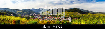 Panoramic view of the beautiful vineyards of Alsace in the fall. Bright ...