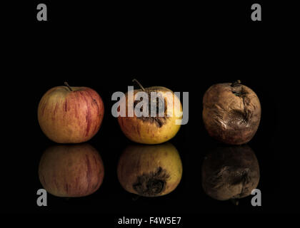 Good and Bad Apples Stock Photo - Alamy