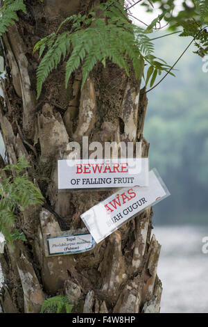 Warning sign, Sabah, Borneo Stock Photo - Alamy
