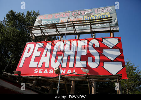 Signs for roadside peach stand in Northern Georgia Stock Photo - Alamy