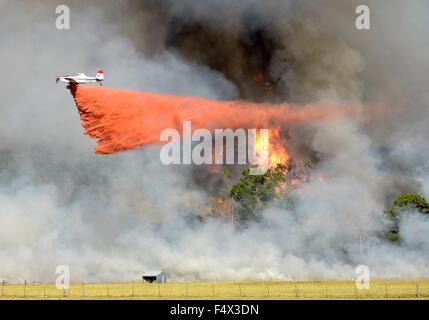 A firefighting aircraft releases flame retardant during a aerial drop ...