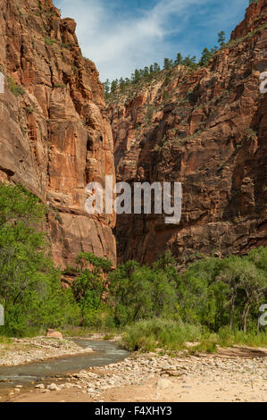 Zion National Park Riverside walk trail road in Utah with red canyon ...