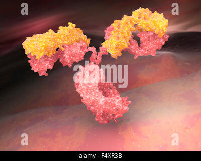 3D structure of antibody Stock Photo: 76772366 - Alamy