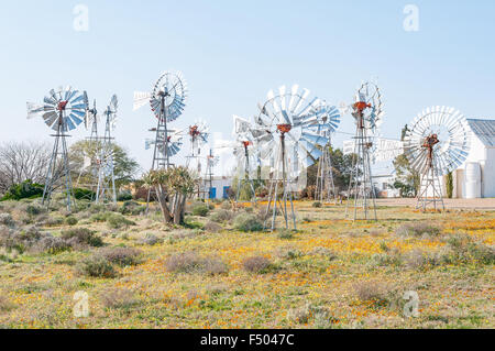 LOERIESFONTEIN, SOUTH AFRICA - AUGUST 11, 2015: Historic windmill at ...