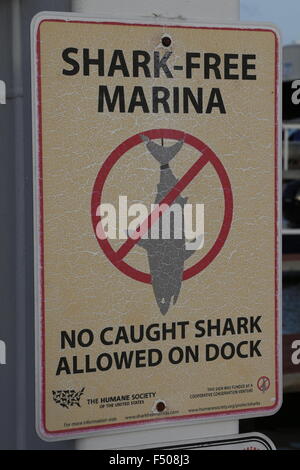 A "Shark Free Marina" warning sign posted in the Florida Keys Stock ...