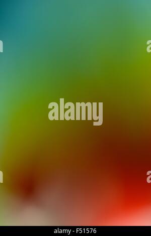 Green bokeh out of focus background from nature forest Stock Photo - Alamy