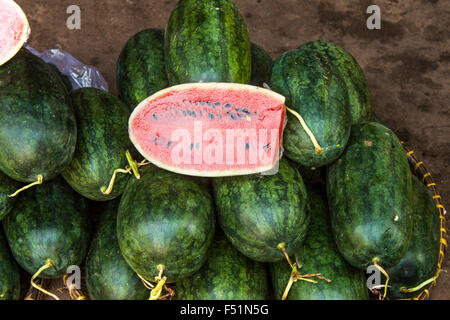 Ripe sweet watermelon in farmer's hand - Citrullus lanatus Stock Photo ...